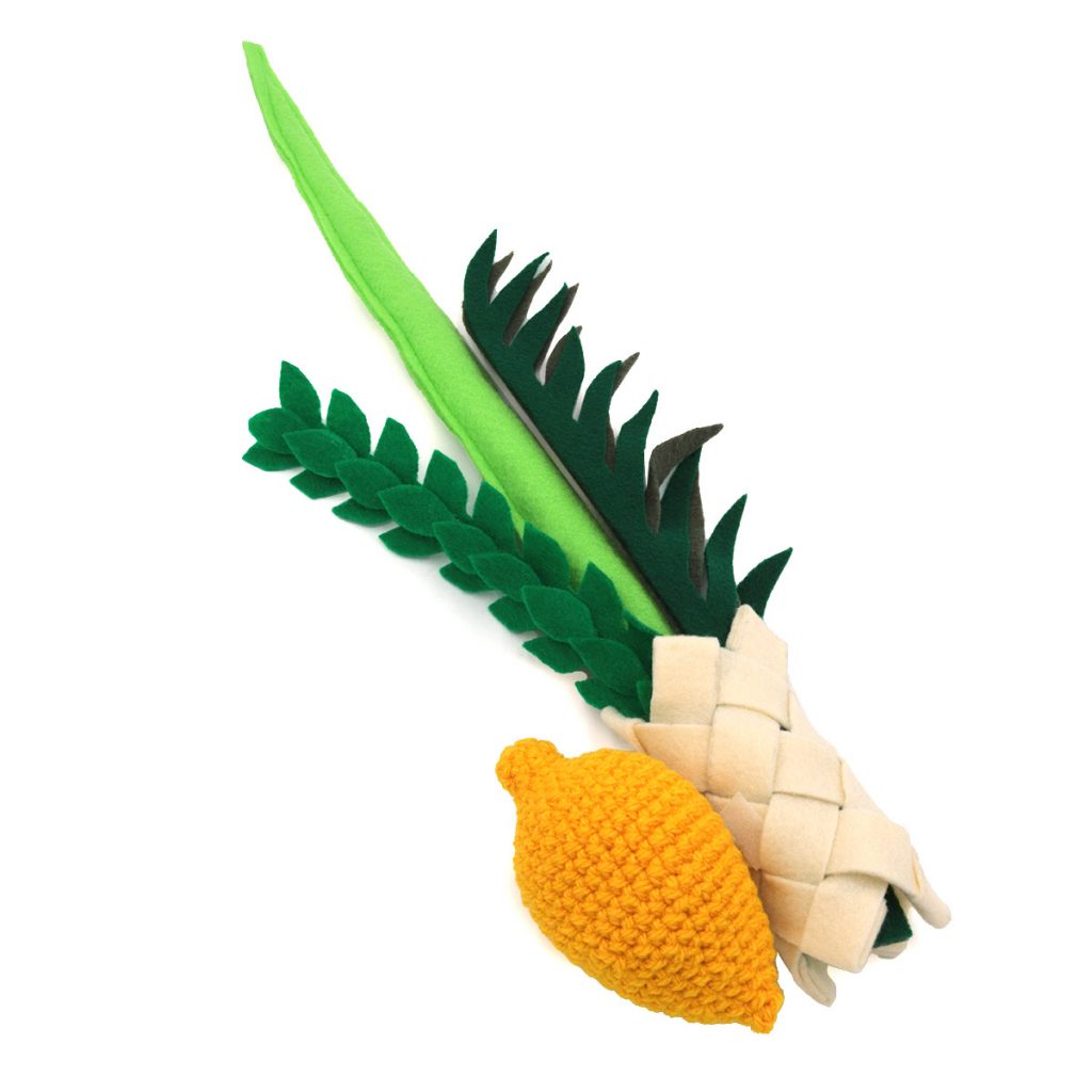 Lulav and Etrog Set for Kids - Yad LaKashish